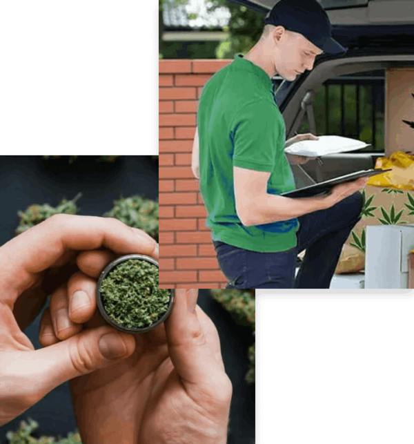 Weed Delivery in Northern Virginia | Fast and Discreet